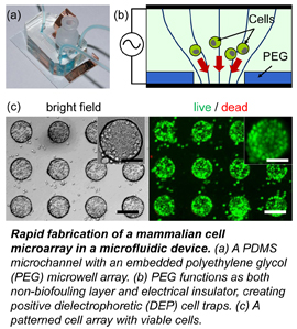 Regenerative Microengineering Laboratory - UC Riverside Mechanical ...